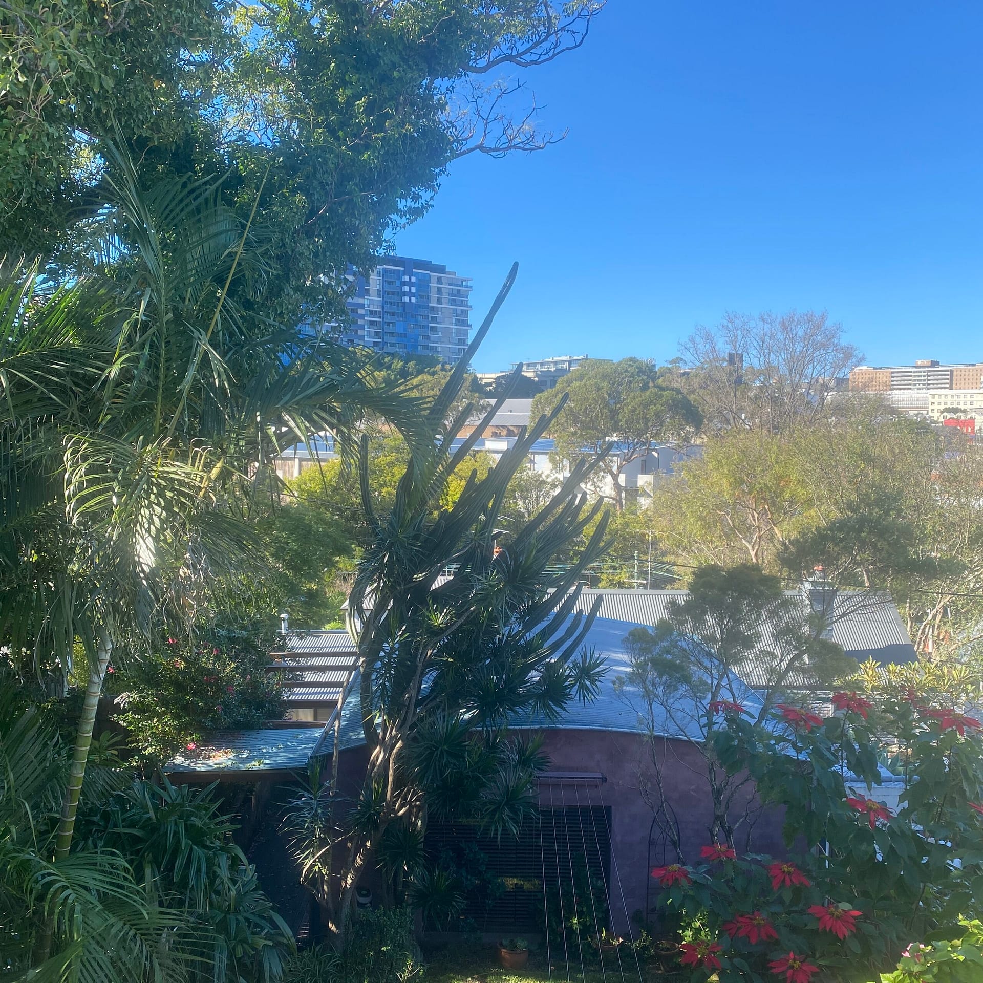 Million dollar mornings - a weekend of adventures